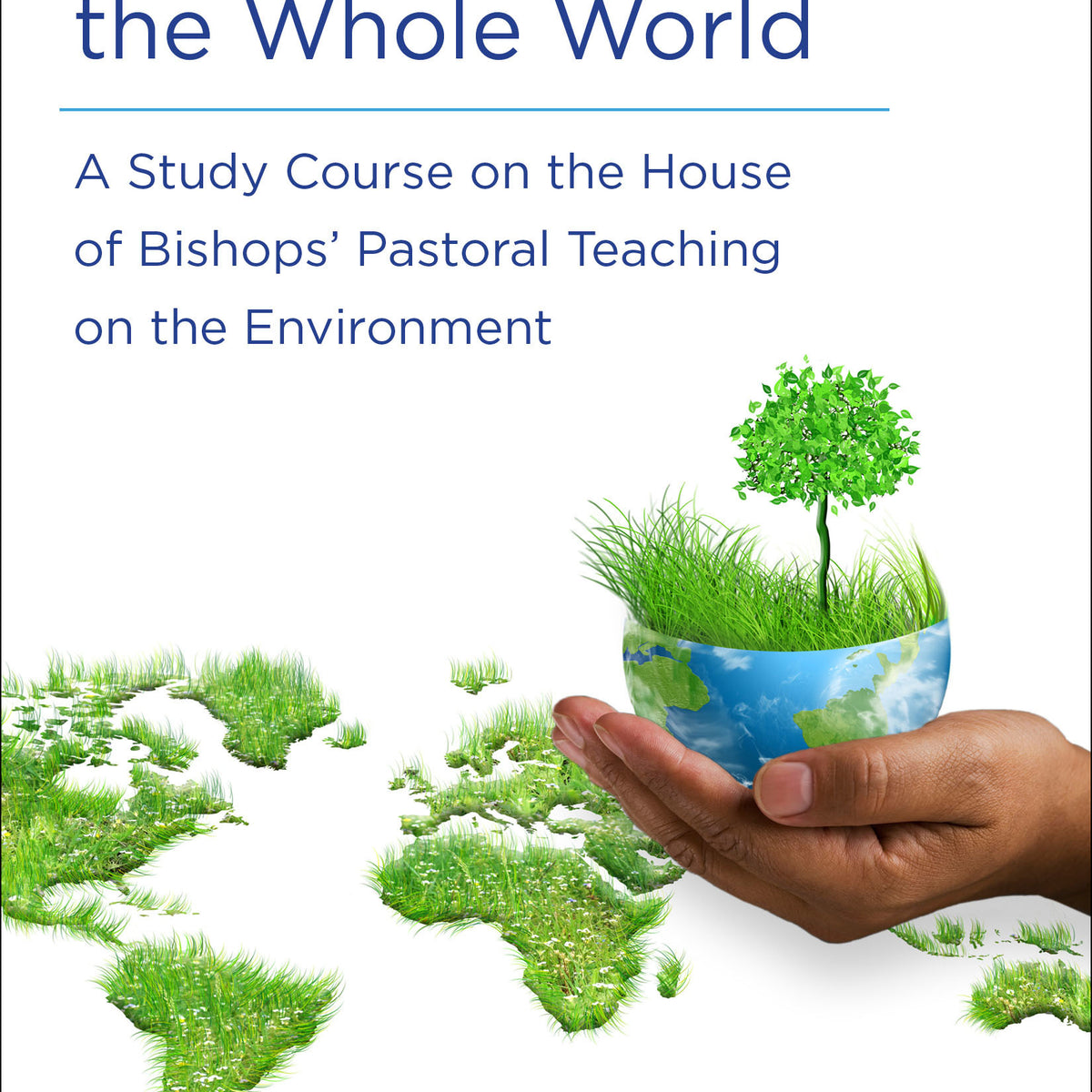 Life of Grace for the Whole World, Adult book – Church Publishing ...